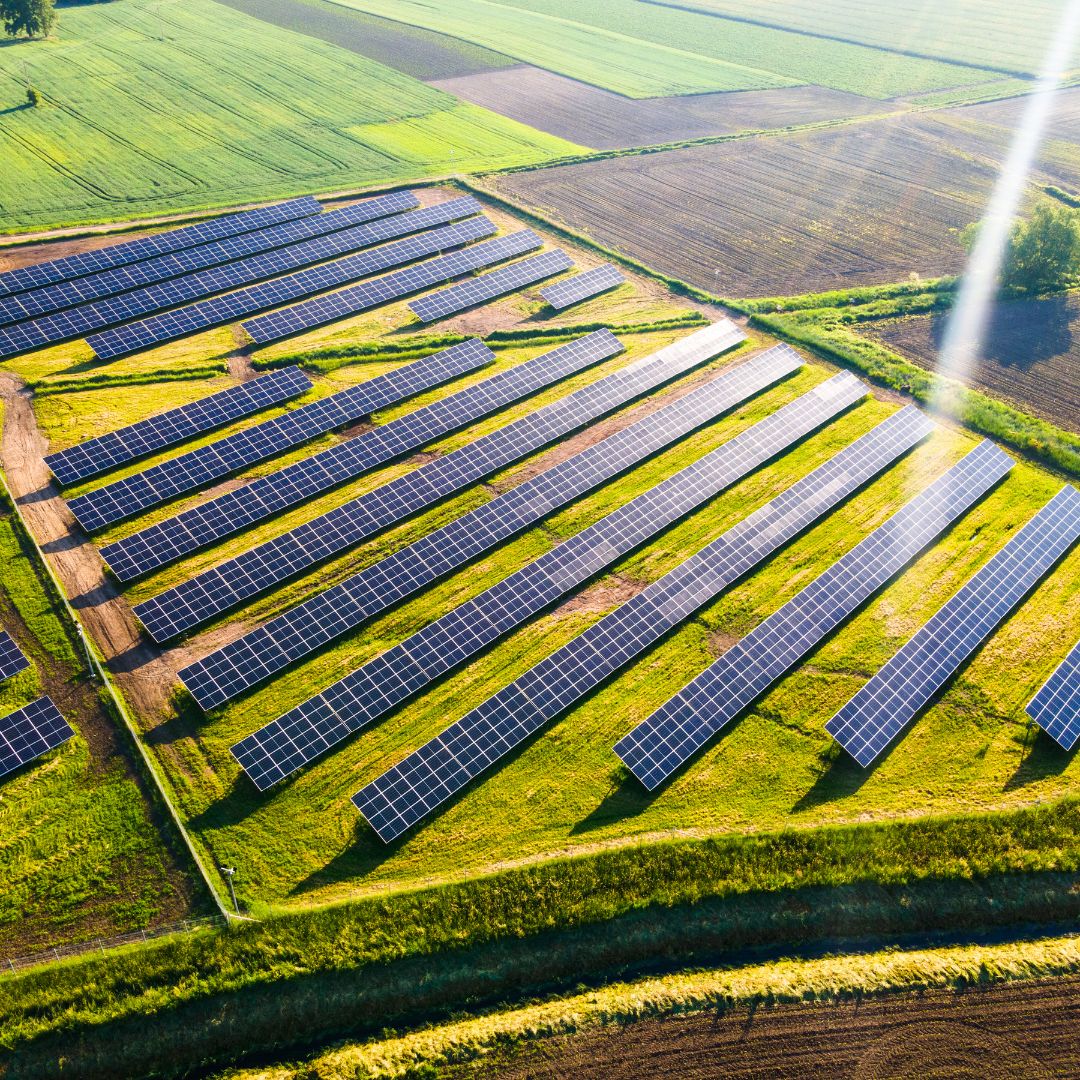 Solar Power Plant Solutions – OEM Manufacturer & EPC
